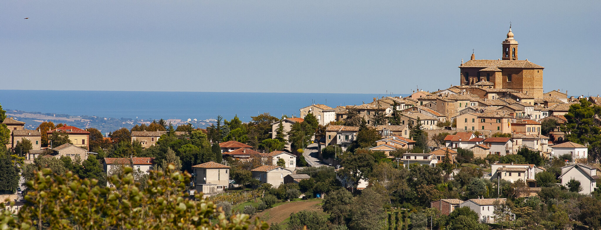 Small town in the Marche region - Visit Montecarotto - Paese di ...